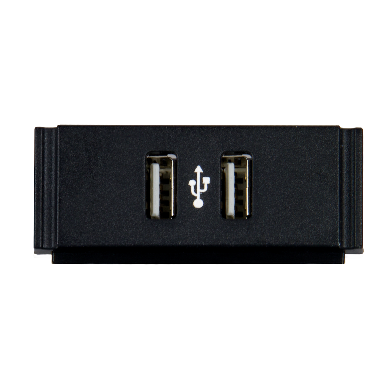 AMX FG553-12 - AMX HPX-N102-USB - Dual USB Module with Printed USB ...